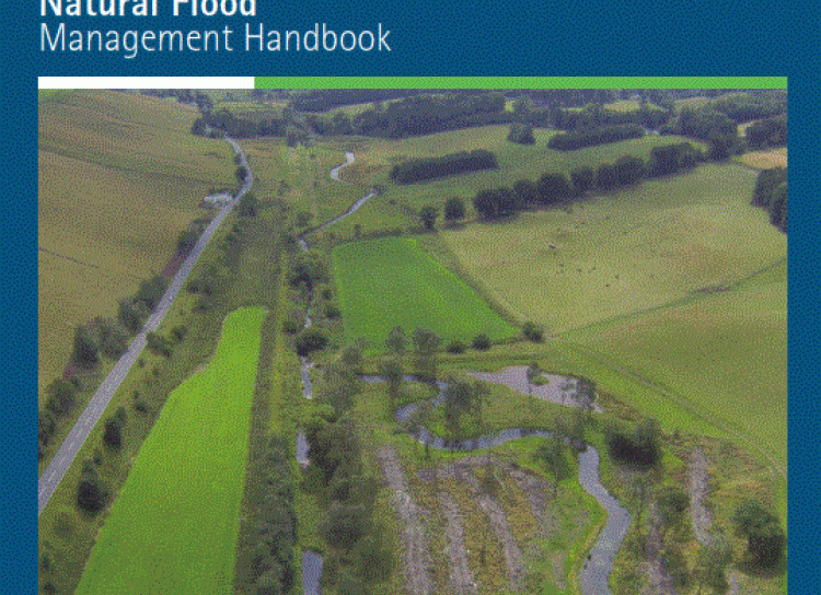 Natural Flood Management handbook available from SEPA | Natural Flood ... Natural Flood Management handbook available from SEPA | Natural Flood ...